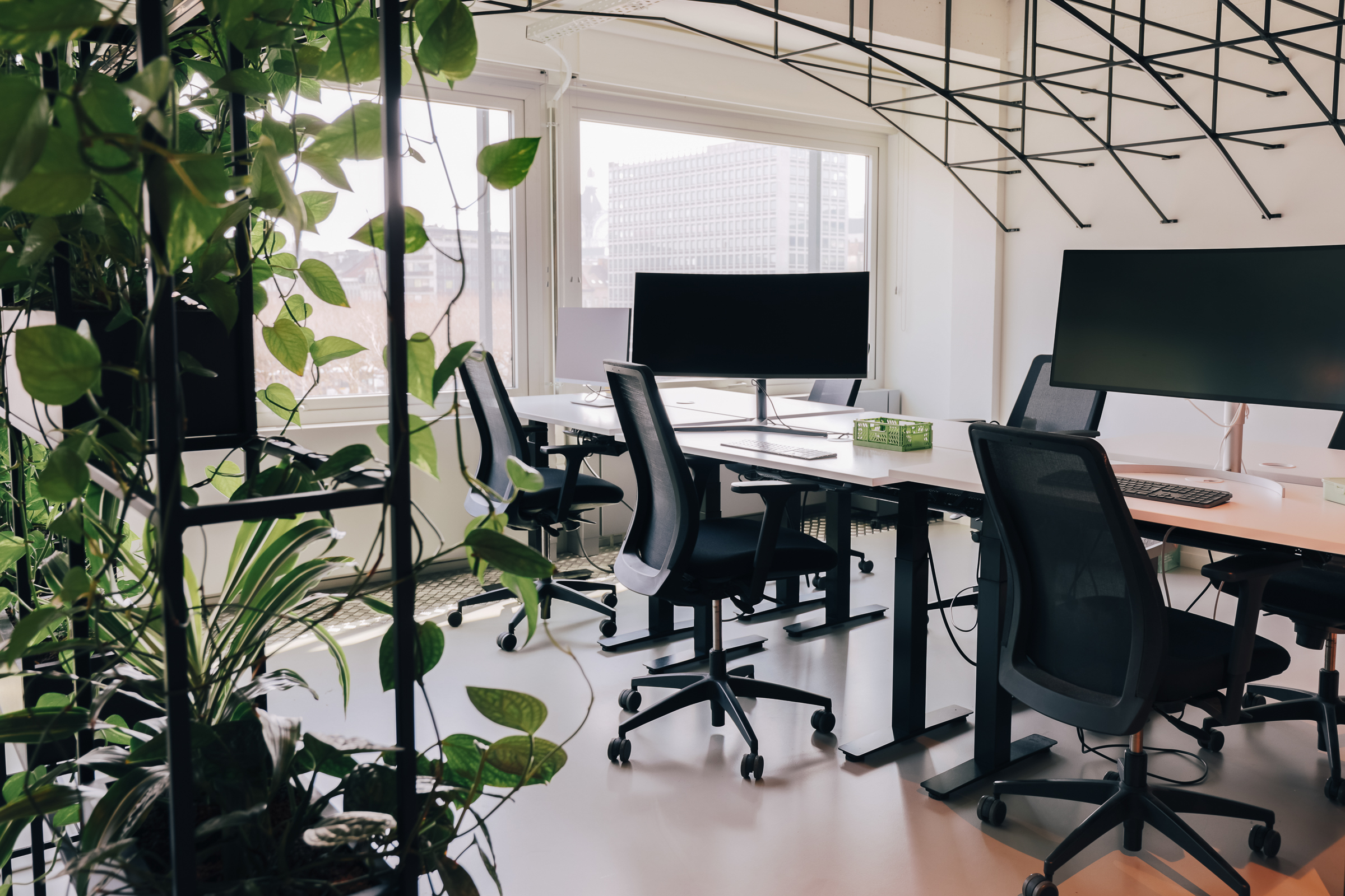 Workspaces | The Brain Embassy